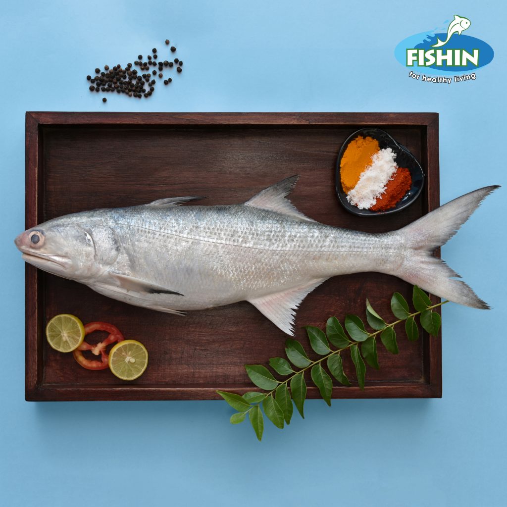 Indian Salmon/ Kaala - Fillet 1kg - FishinSeaFood